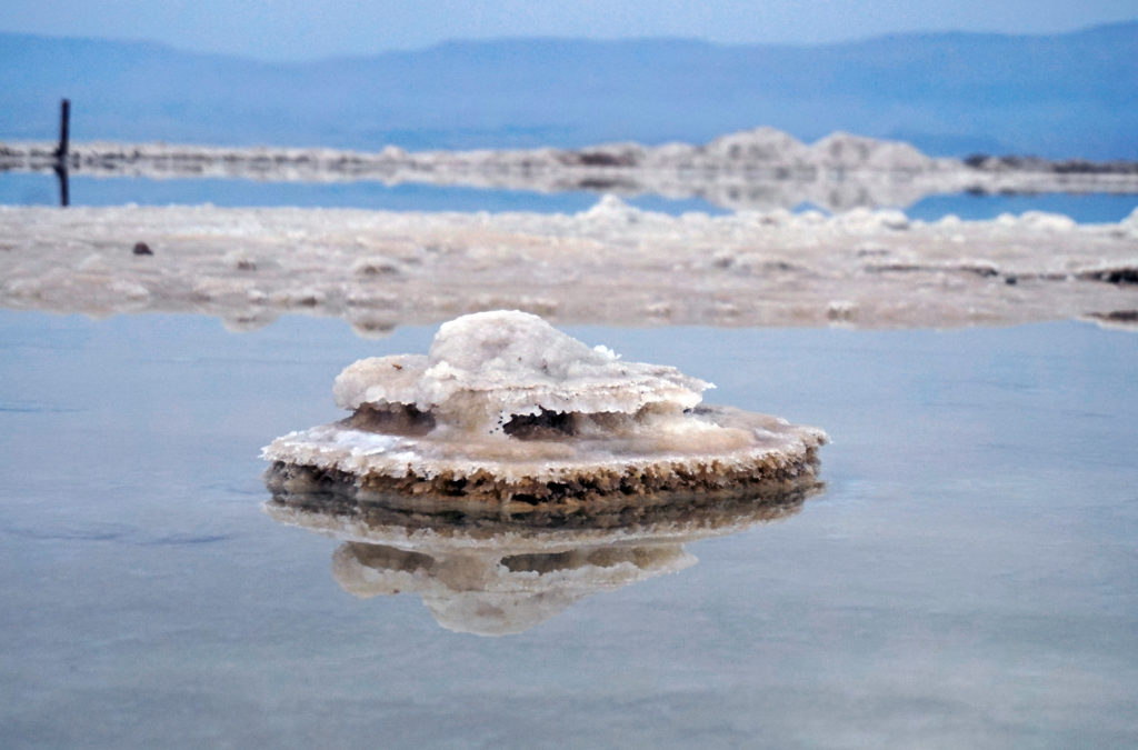 Dead Sea Salt Nutrawiki