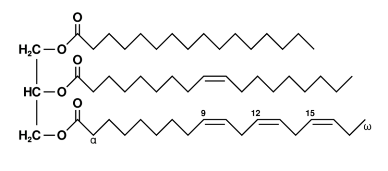 1,2,3-Propanetriol Trioctanoate – NutraWiki