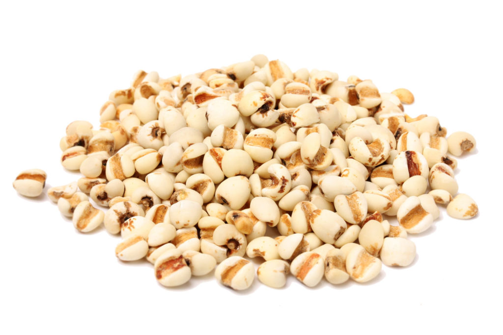 Coix Seed – NutraWiki