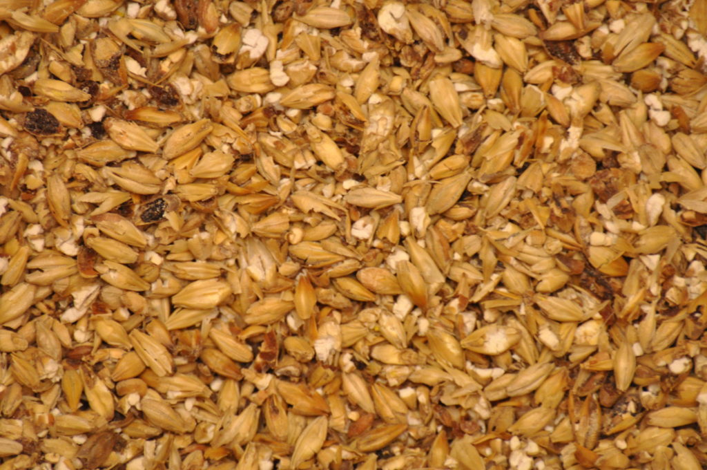Black malt extract – NutraWiki