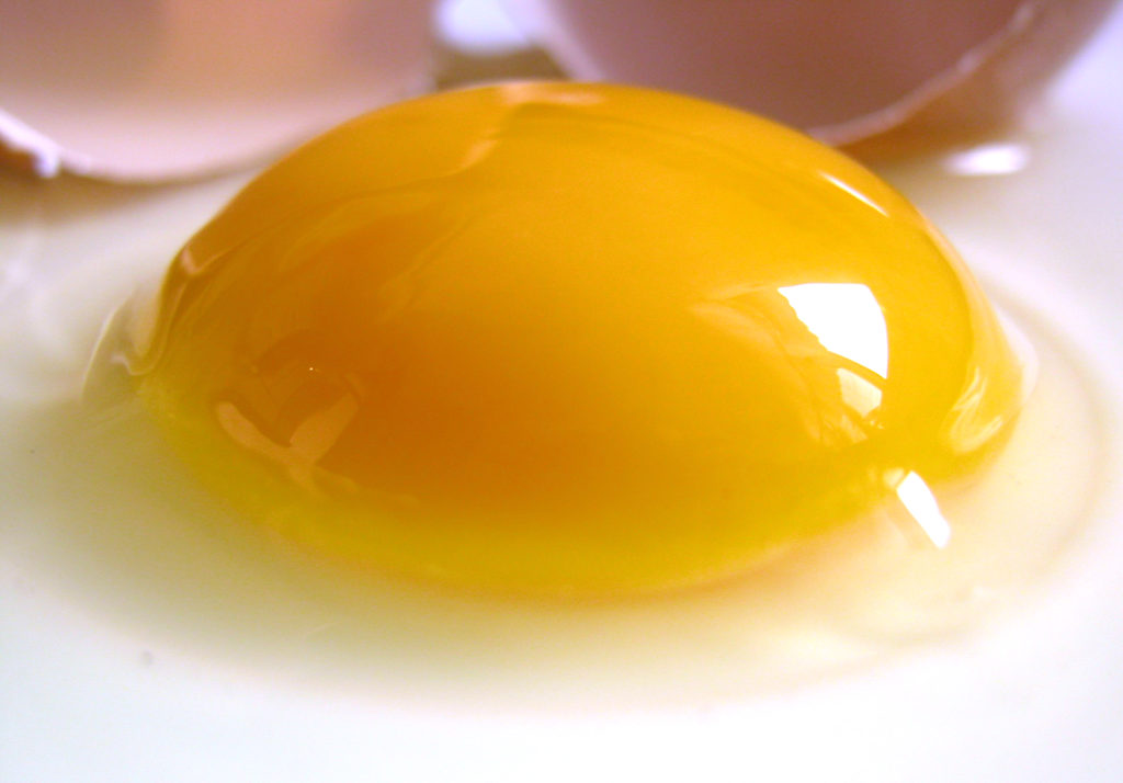 Pasteurized Egg Yolk NutraWiki Pasteurized Egg Yolk NutraWiki